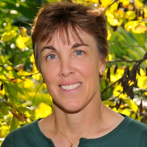 Lisa Nesbitt - DRNC
