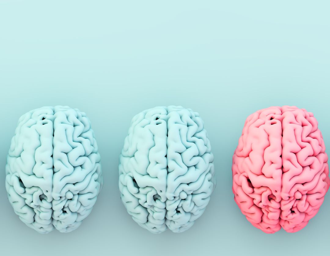 TBI - NC BRAINS Initiative - DRNC